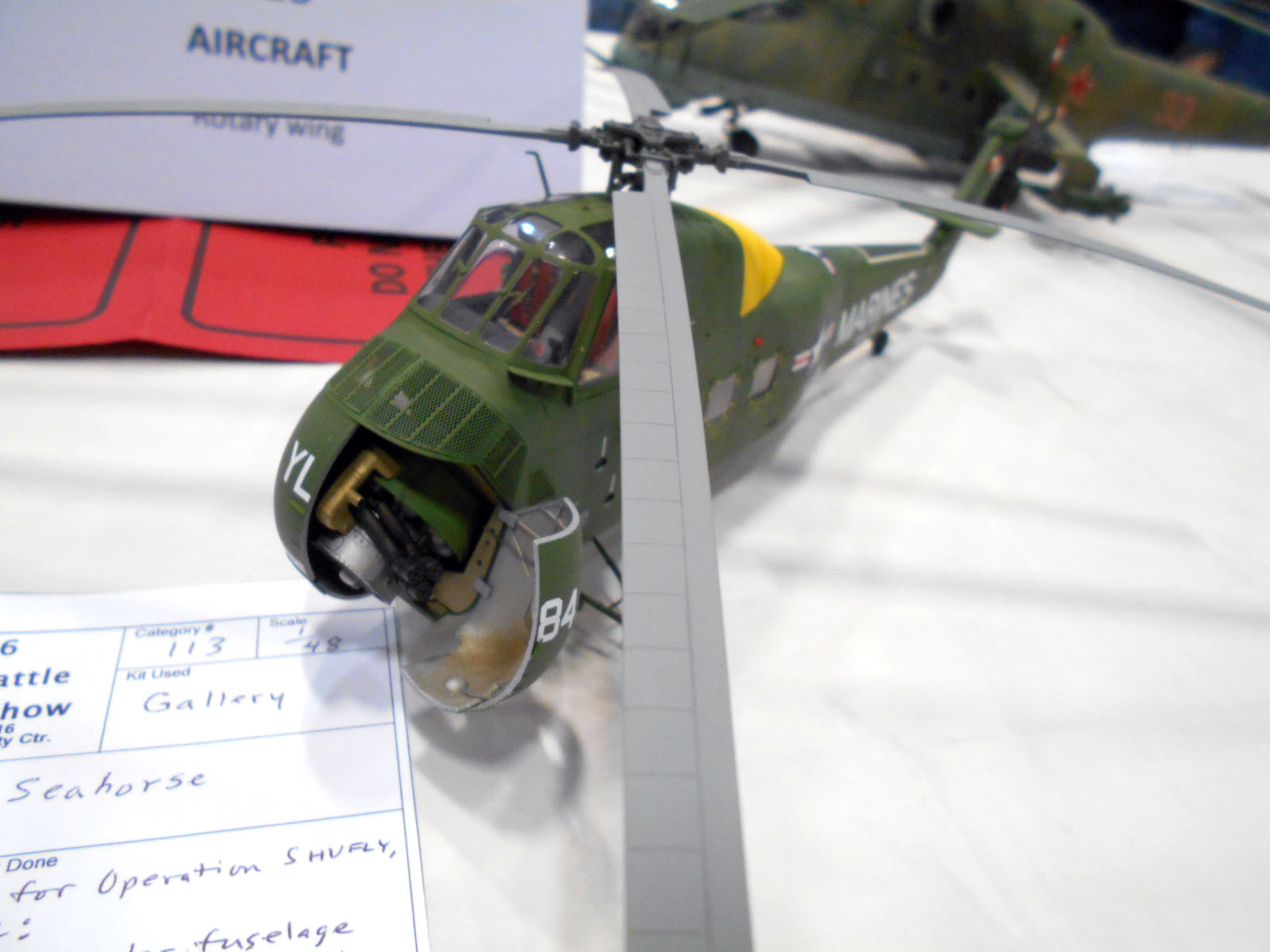 113 - Aircraft Rotary Wing